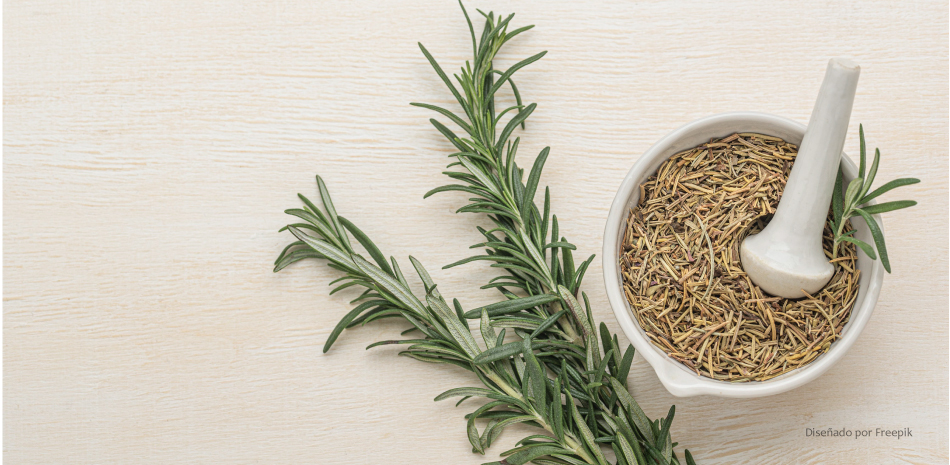 Tomillo: Propiedades, Usos y Beneficios