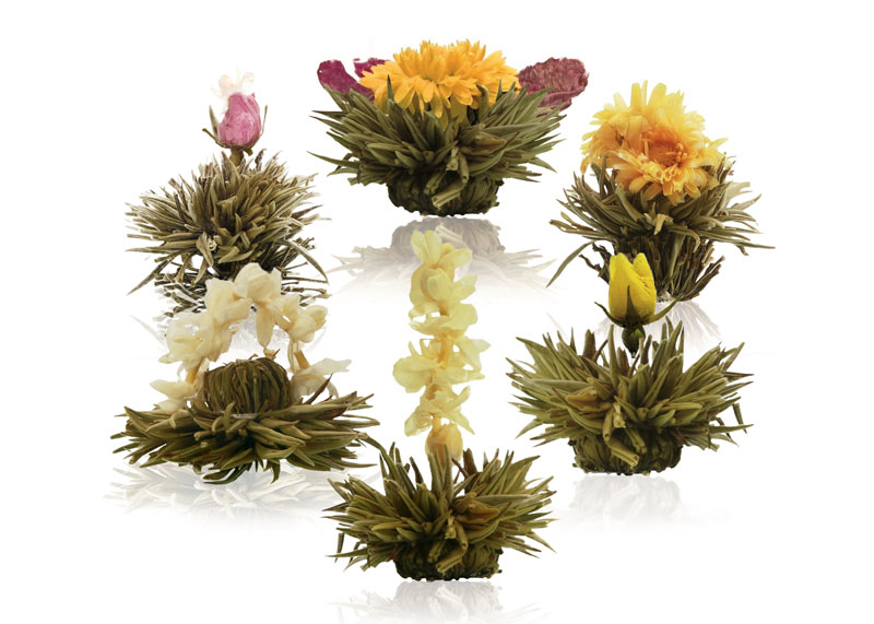 Flores de té blanco - Flores de té - Tés - TCompany Shop. The home of T ...