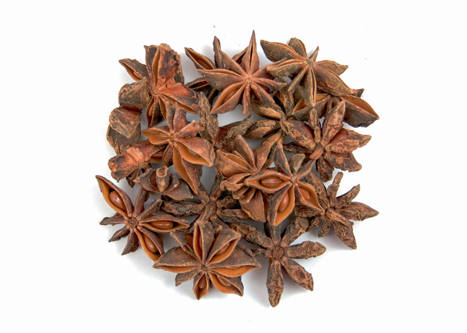 Infusión Anís Estrellado - Infusiones - Infusiones - TCompany Shop. The ...